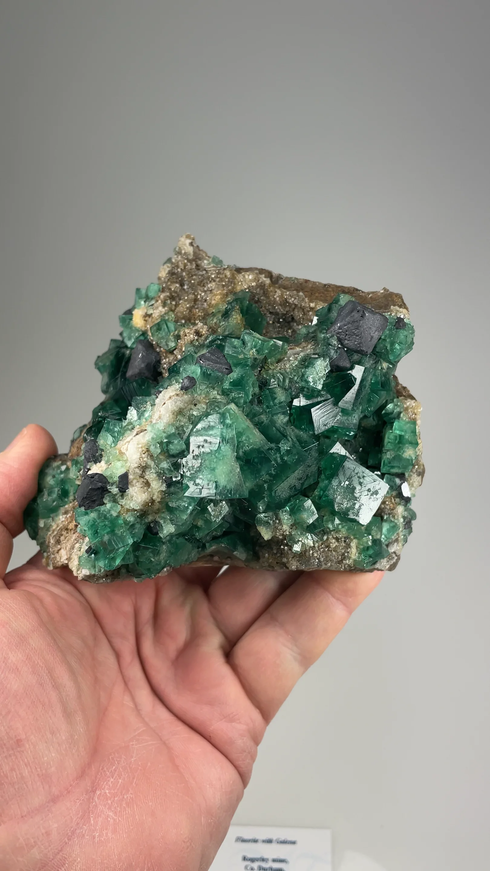 IMG_E4357.MOV on Vimeo