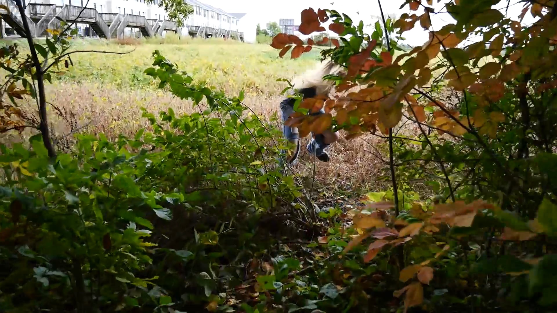 The Crunch- Short Horror Film on Vimeo