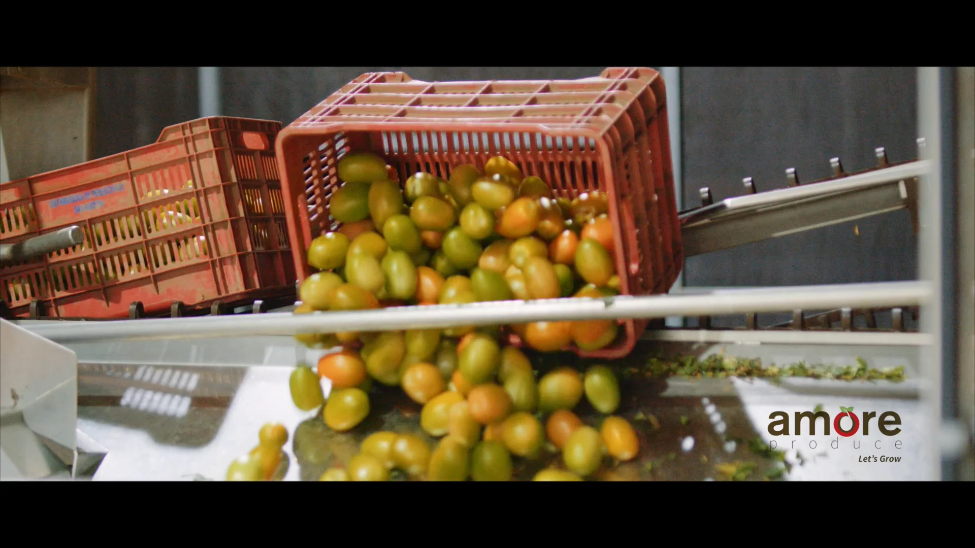 amore produce v1 wide on Vimeo