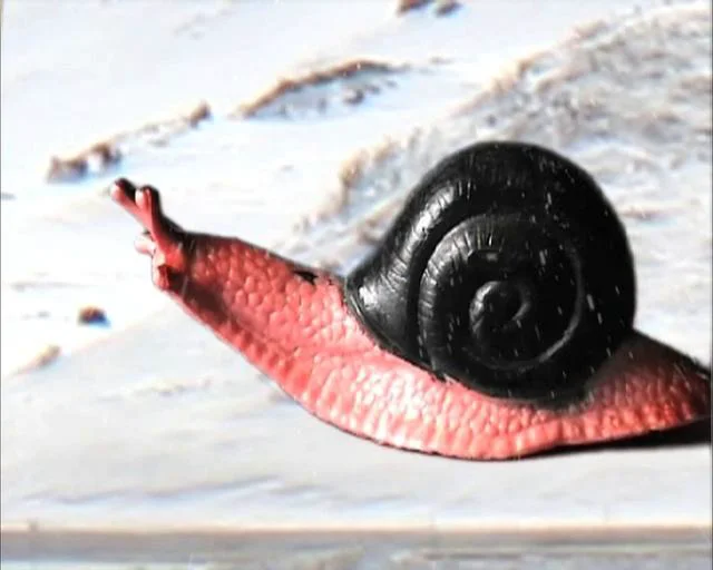 Hunt for the Arctic Snail on Vimeo