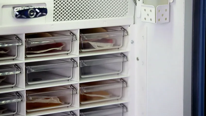 BloodTrack® E-Learning Series HaemoBank NYPQ User Training