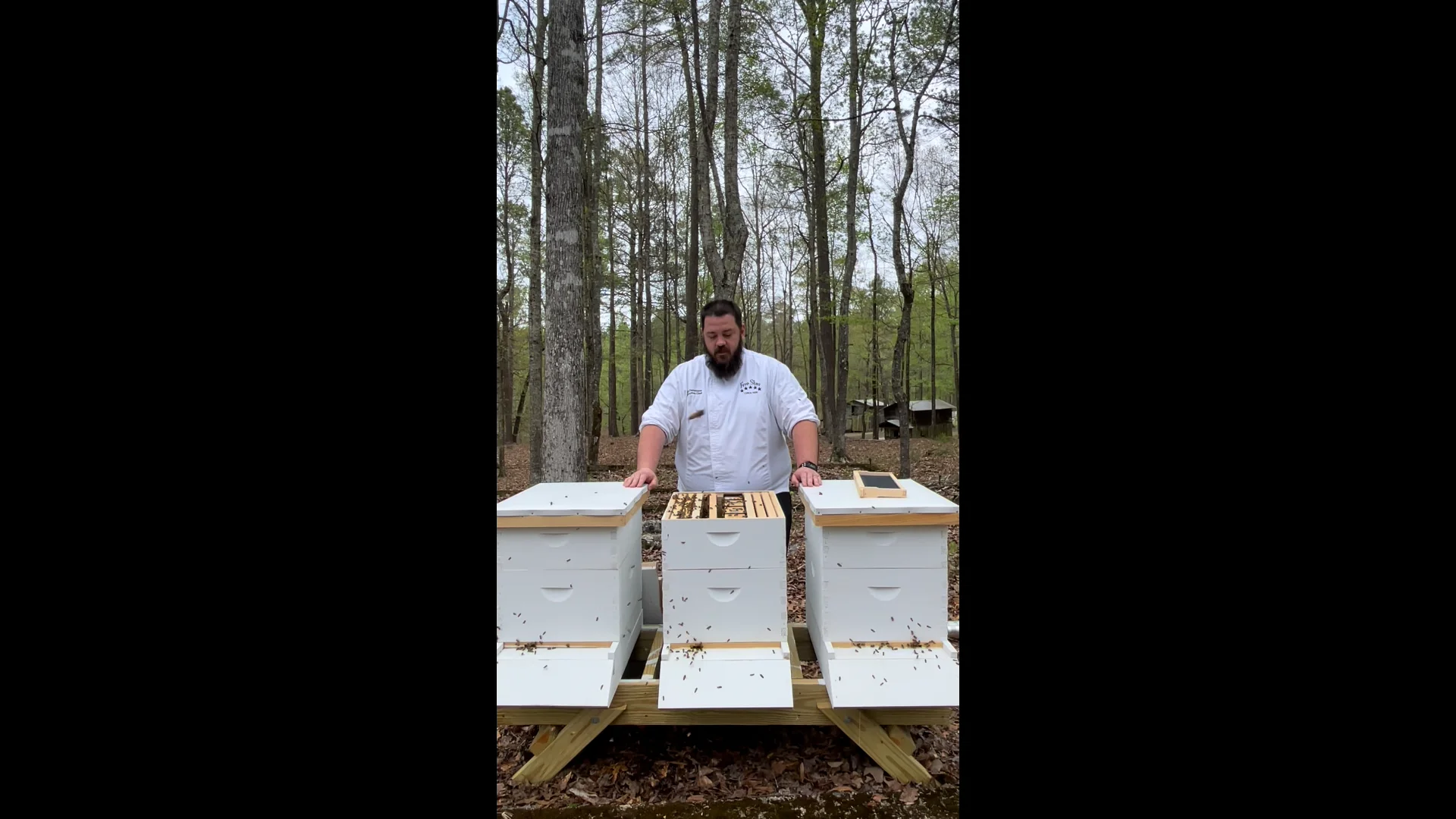 Five Star Provisions Bee Project on Vimeo