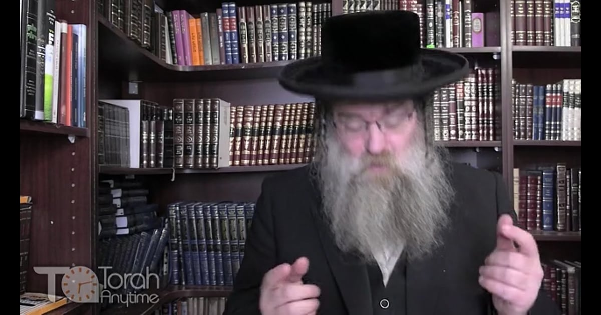 R' Elimelech Friedman | DAF 29 MIN. - SOTAH 3