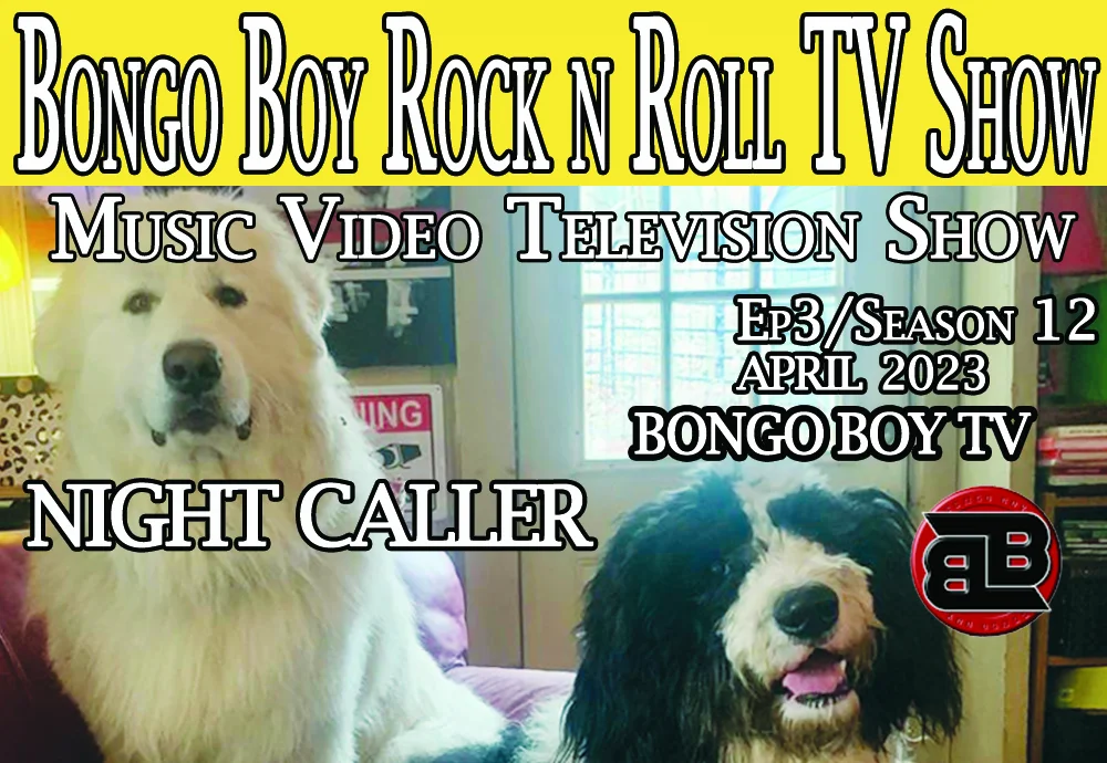 Bongo Boy TV Ep03 S12