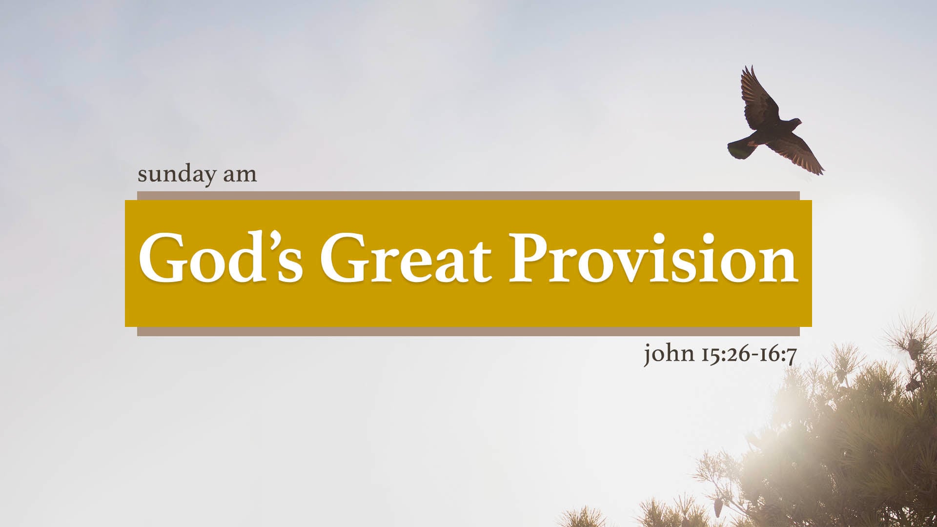 SAM1290DM John 15:26-16:7 God's Great Provision on Vimeo
