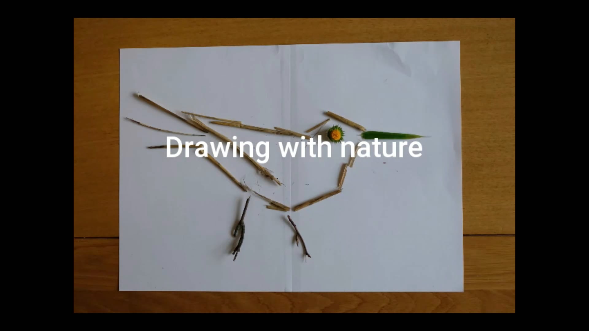 drawing/animation instructions on Vimeo