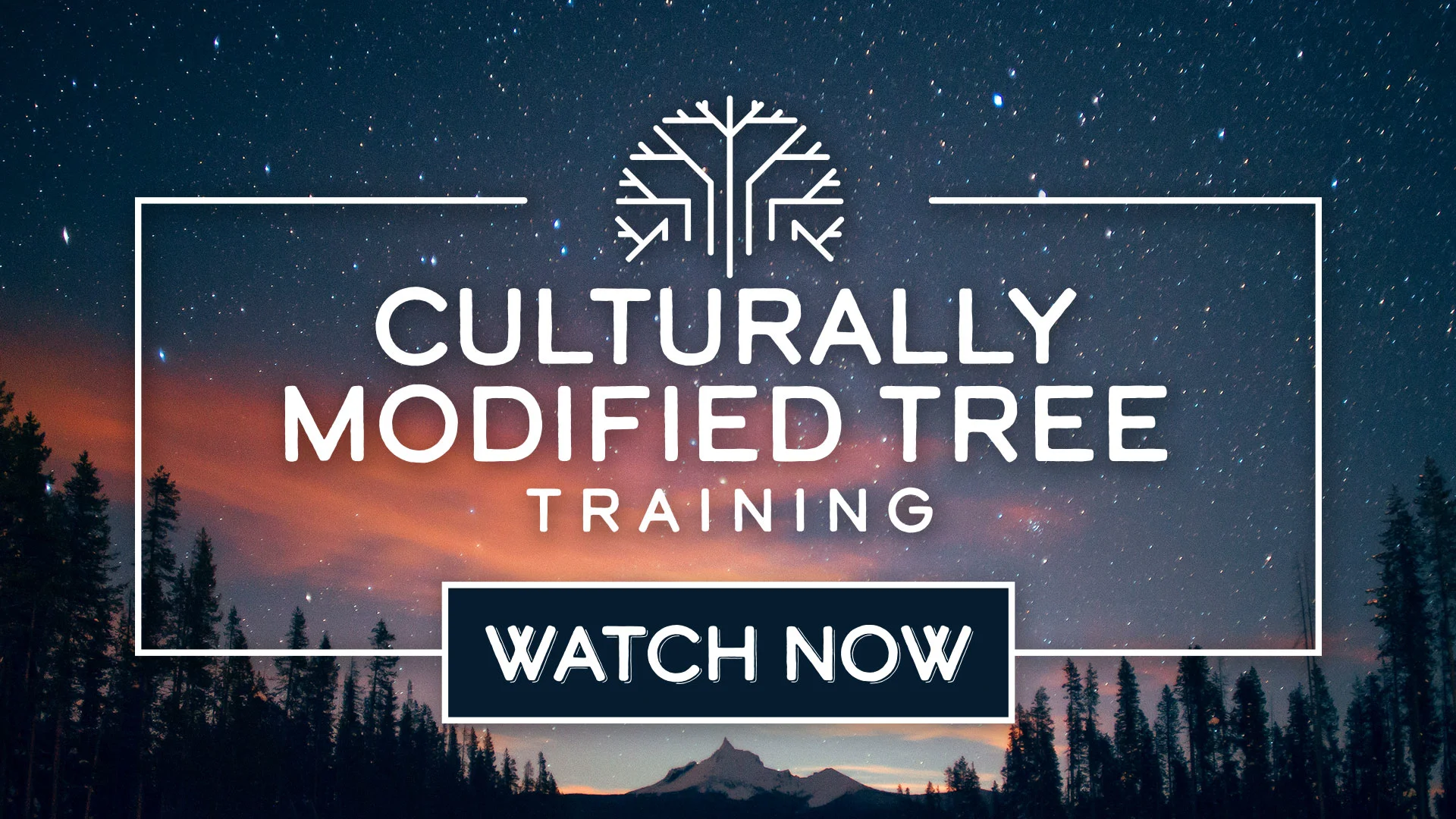 Culturally Modified Tree Training | Stories on Vimeo