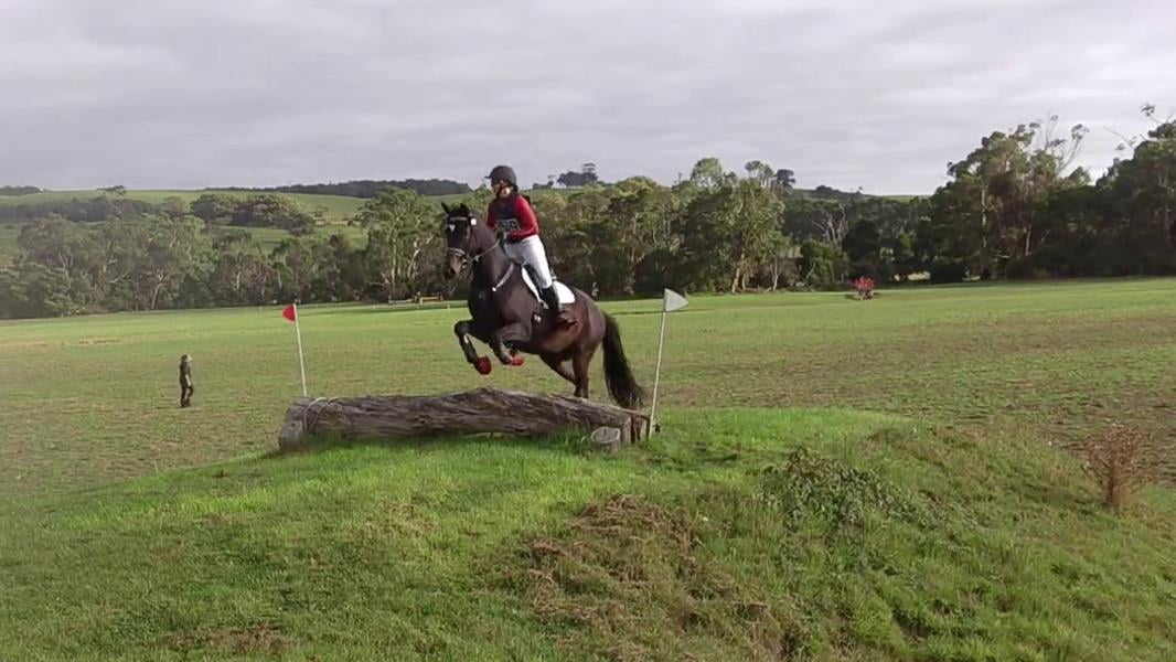 Rachael Feely riding BMS Springbok 259 Ev65 Heytesbury Horse Trials ...