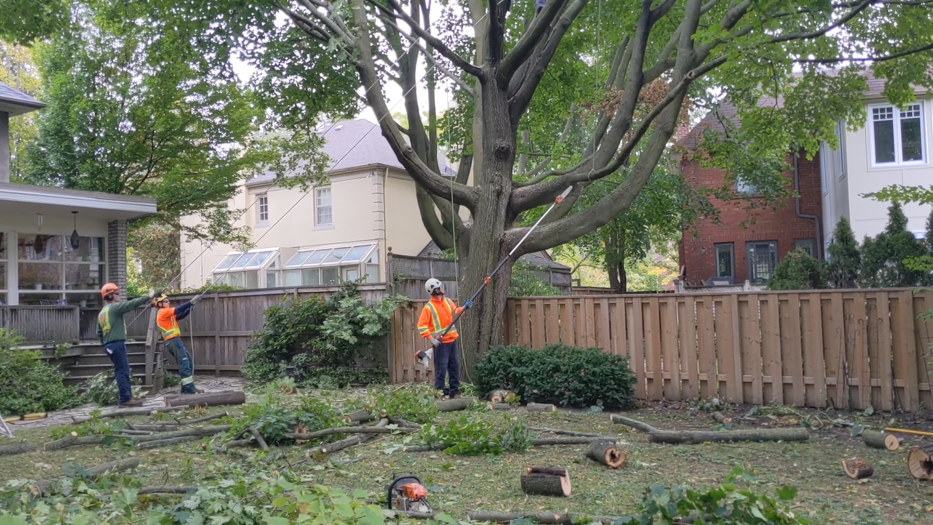 Able Tree Service Inc.