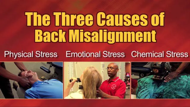 Theraputic Massage; Physical Therapy; Lower back Pain - Gahanna, New ...