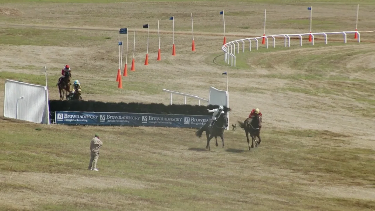 2023 Carolina Cup Races - Carolina Cup 040123 Race 3 on Vimeo