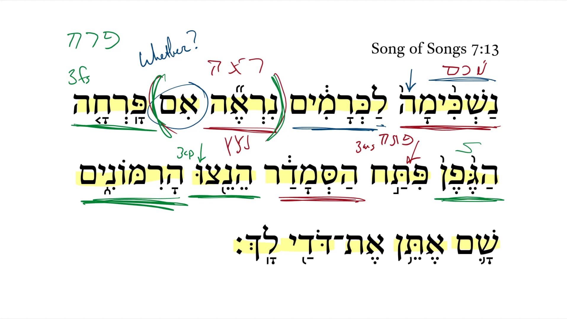 Song of Songs 7:13 on Vimeo