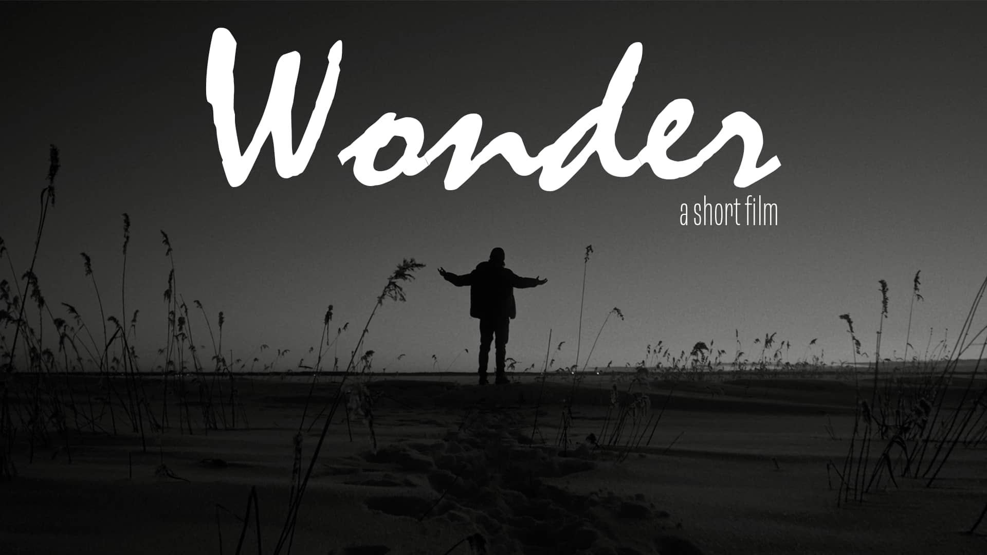 WONDER | Short Film on Vimeo
