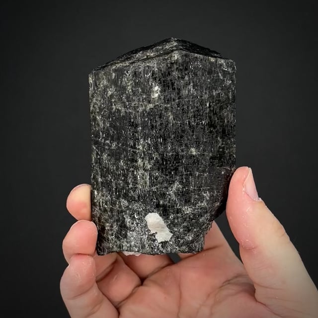 Fluoro-richterite | Wilberforce area, Haliburton Co., Ontario, Canada