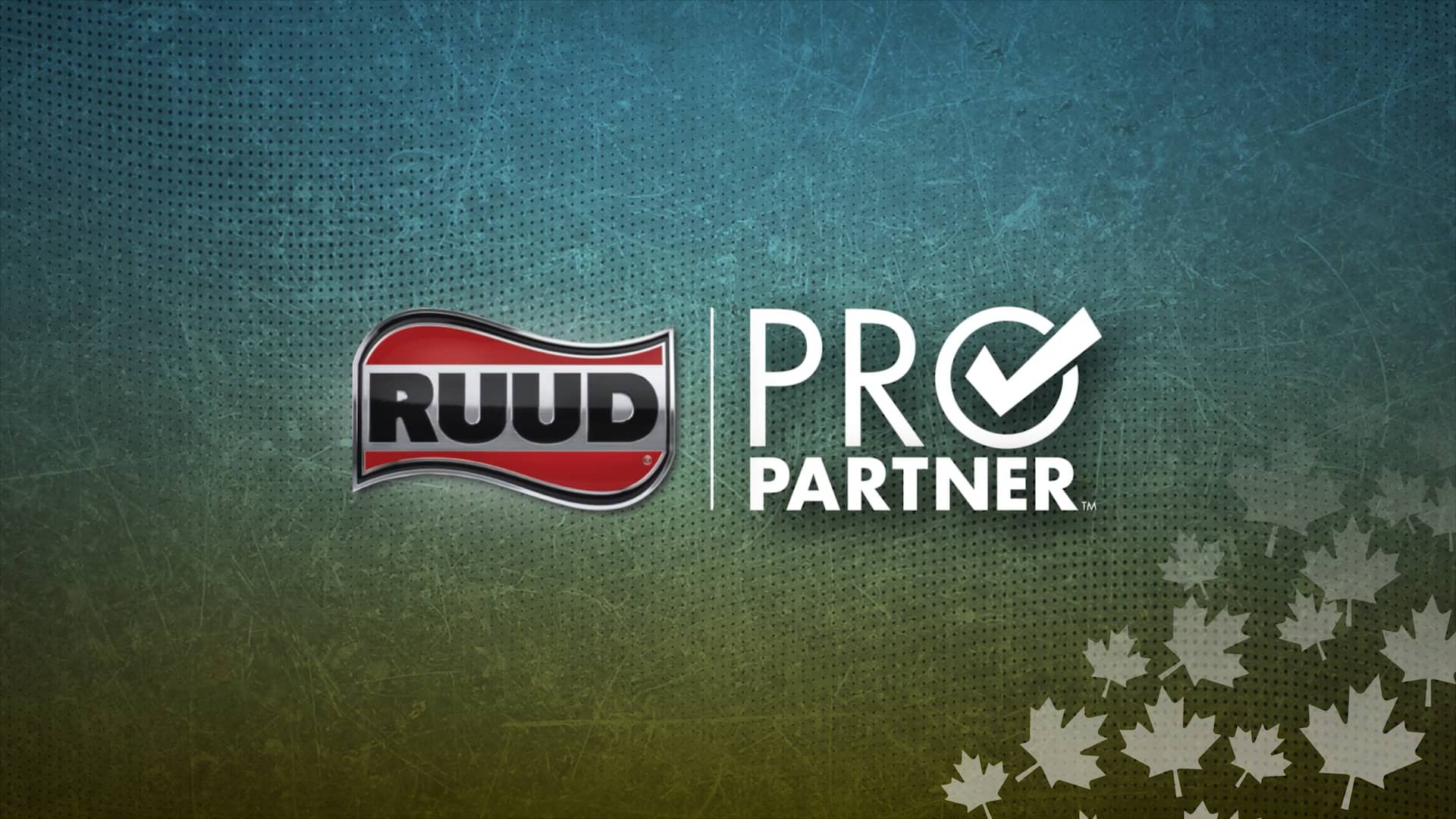 Welcome to the Ruud Pro Partner Program on Vimeo