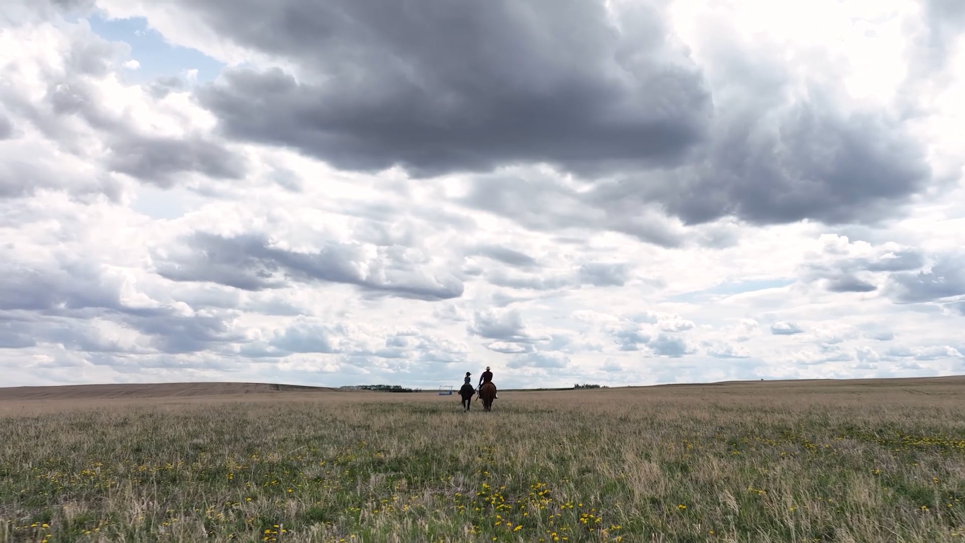 ABP - Environmental Stewardship 2022 on Vimeo