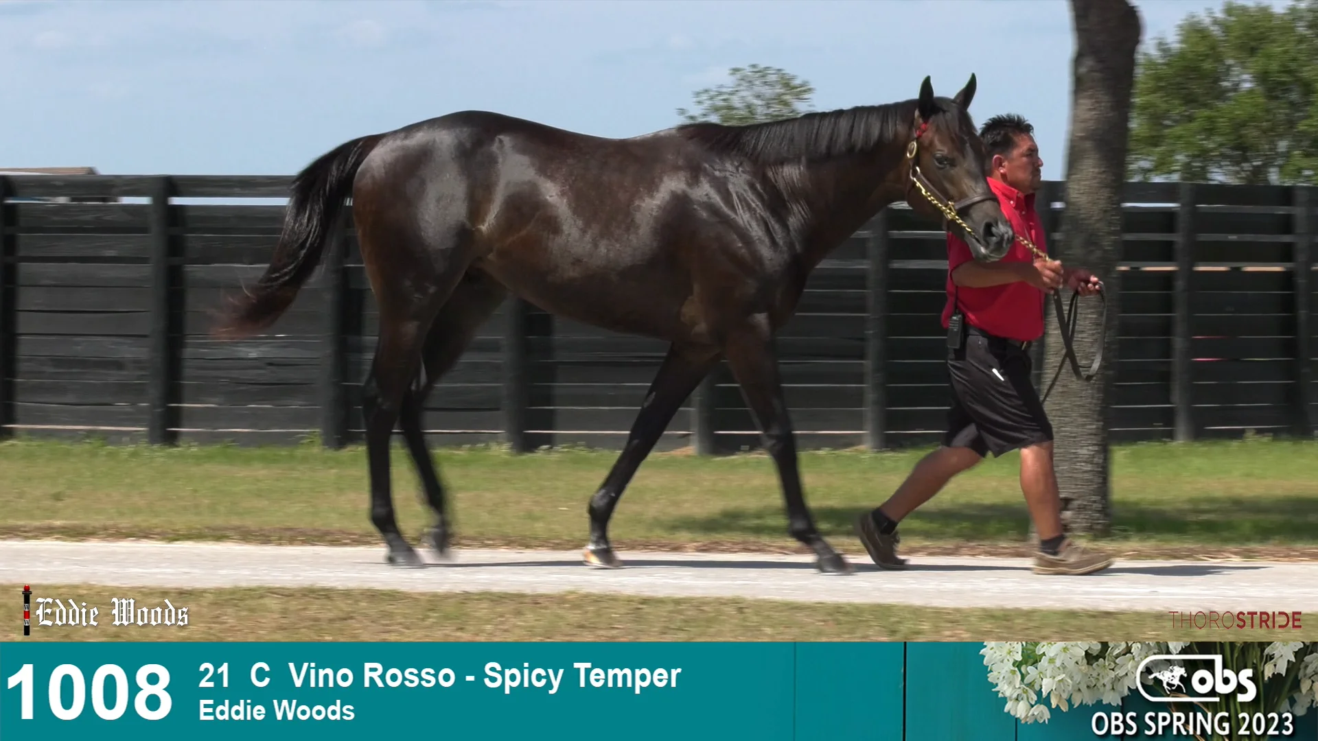 OBSAPR23_1008_Spicy Temper 21 on Vimeo