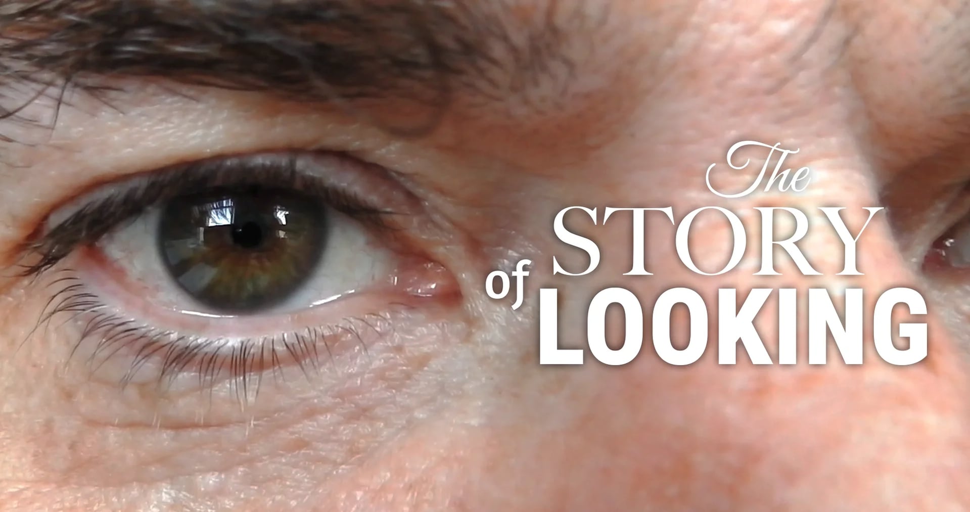 Watch The Story of Looking Online | Vimeo On Demand on Vimeo