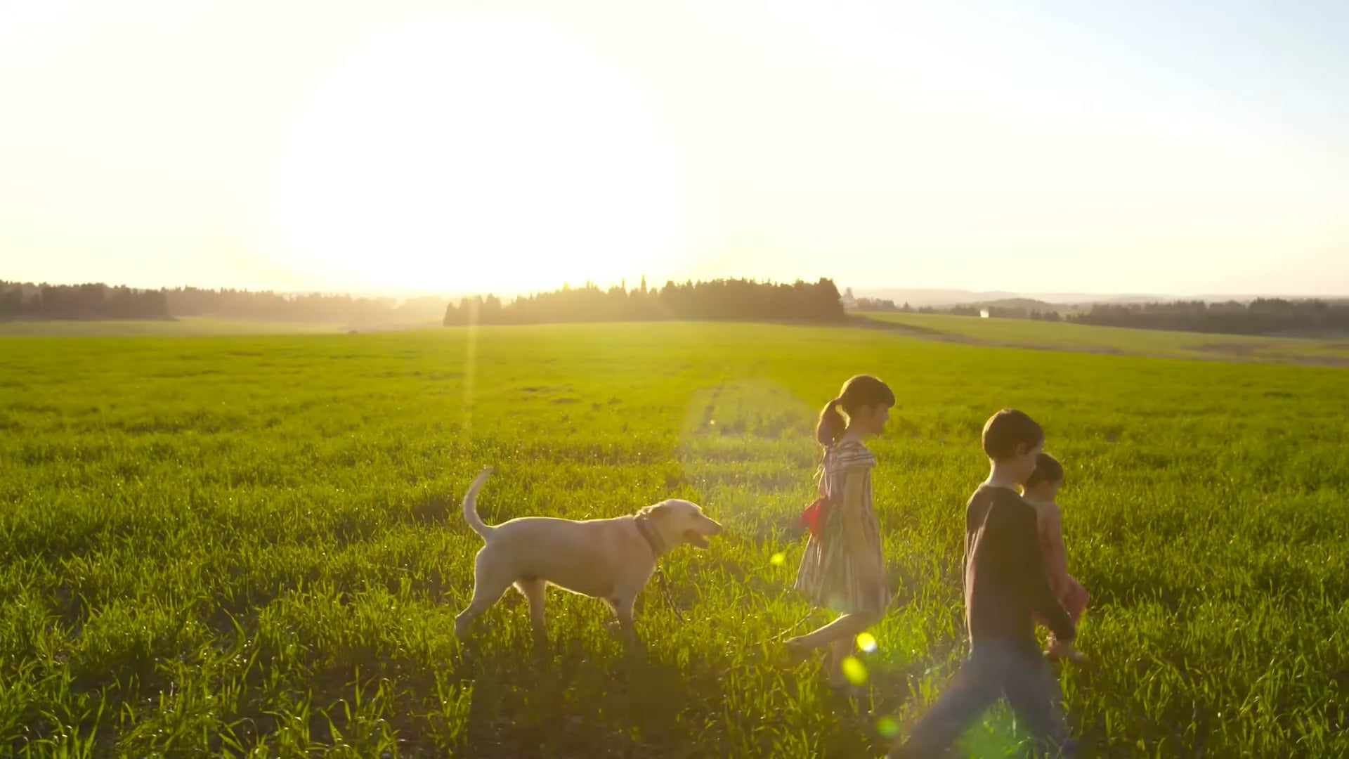 child-dog on Vimeo