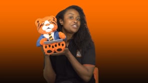 PageTiger Pricing, Alternatives & More 2024 | Capterra