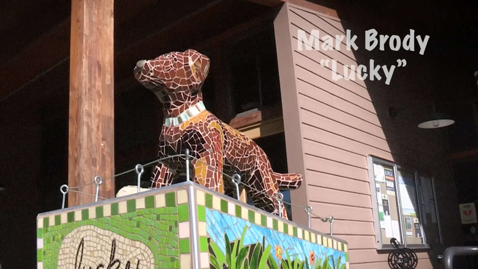 Mark Brody Artist Profile.mp4 on Vimeo