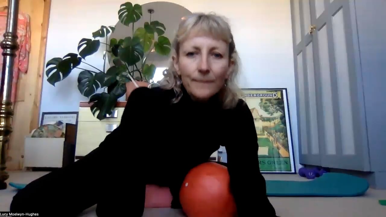 lower back mobiliser on Vimeo