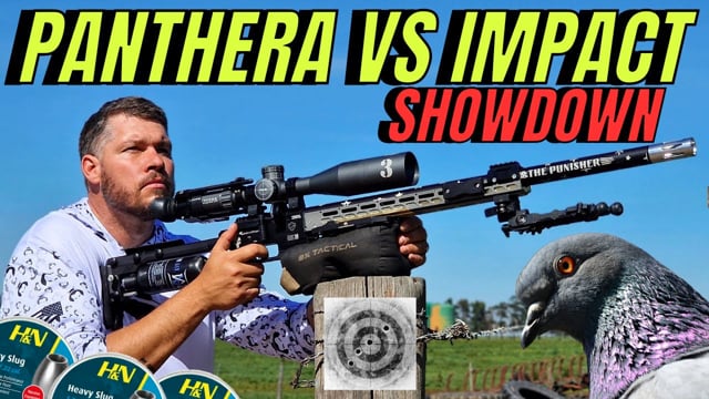 FX AIRGUN HUNTING SHOWDOWN IMPACT VS PANTHERA - Who Will Emerge ...