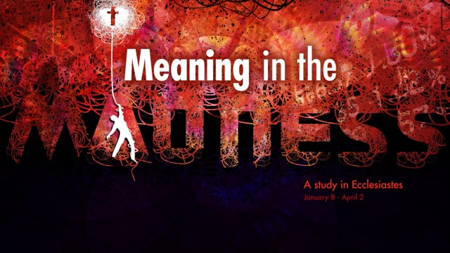 Meaning in the Madness on Vimeo