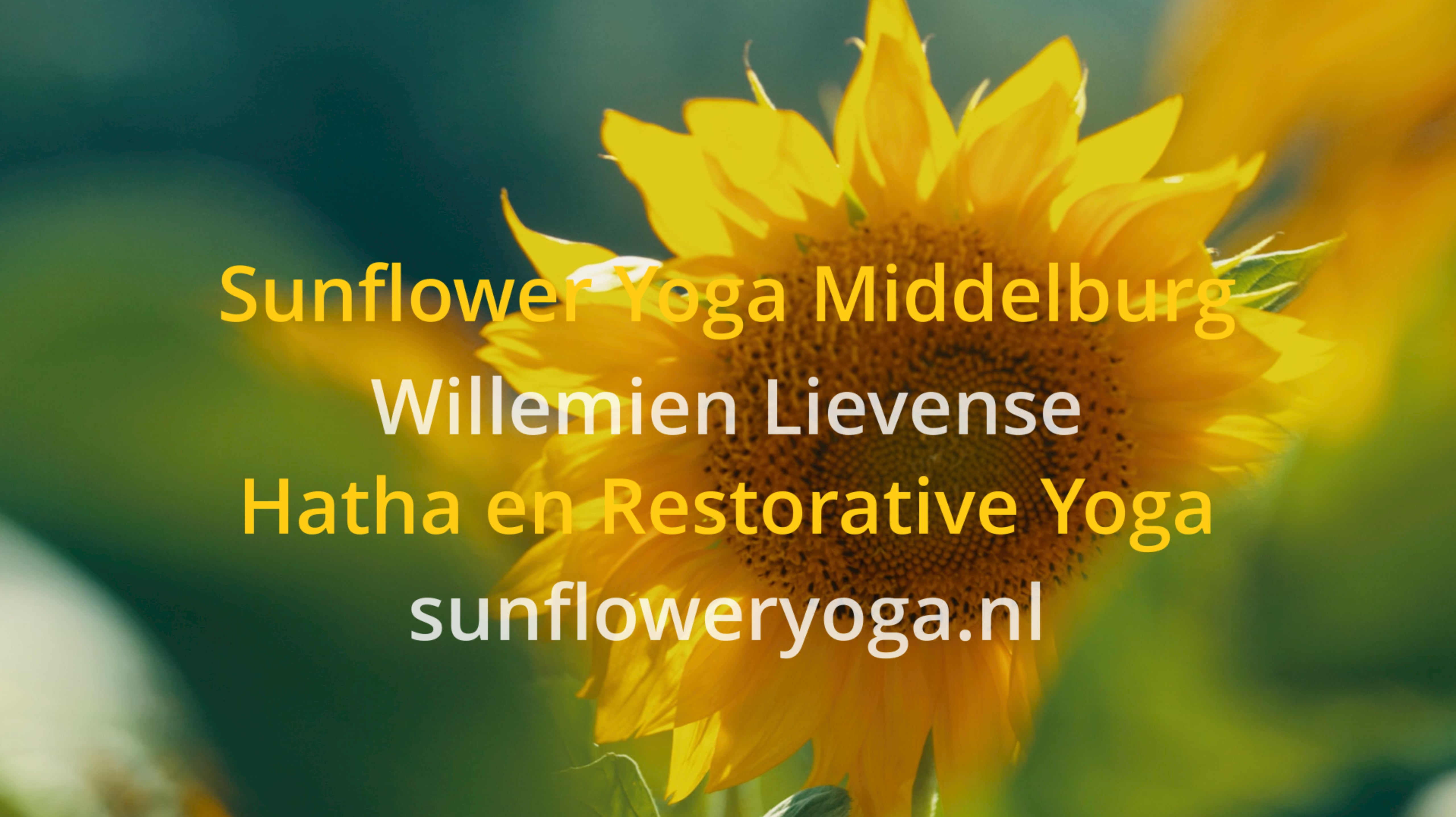 willemien_lievense_sunflower_yoga on Vimeo