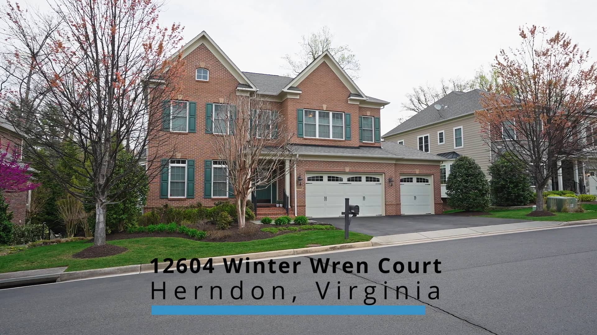 Winter Wren Court Branded on Vimeo