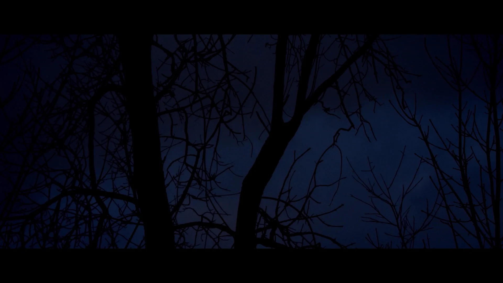 Blue Hour - Full Movie