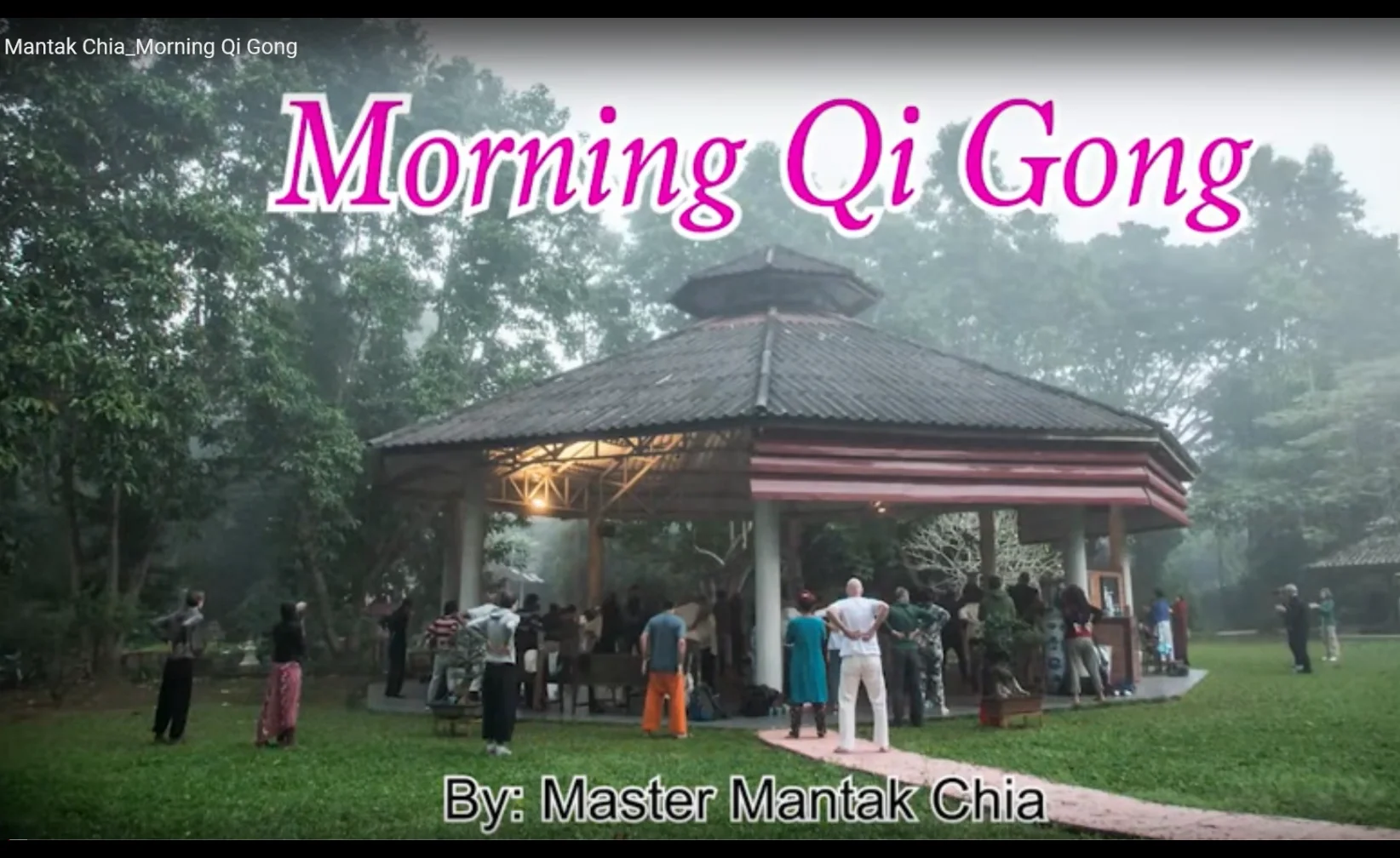 Watch Mantak Chia Morning Exercise - Bonus-Features 3 Online | Vimeo On ...