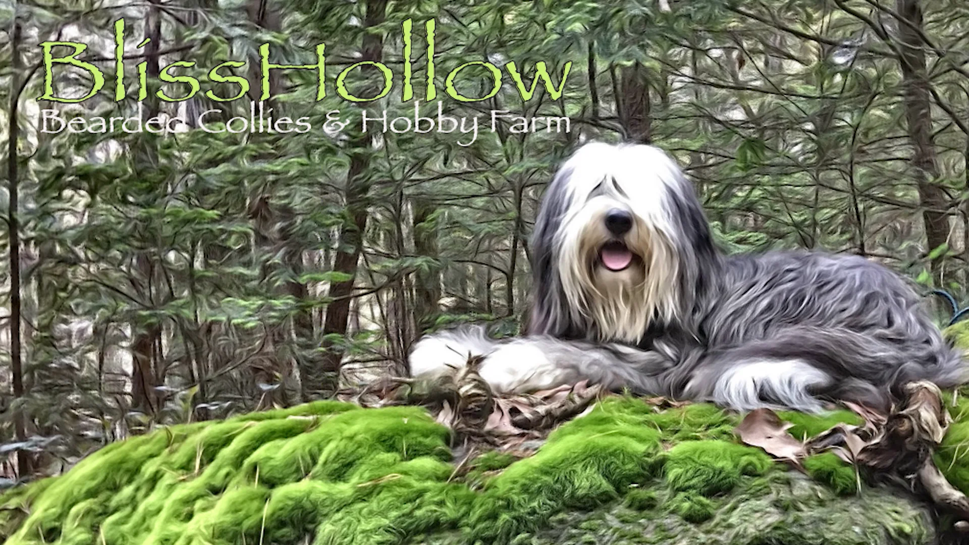 Springfield Weekend April 2023.mp4 on Vimeo