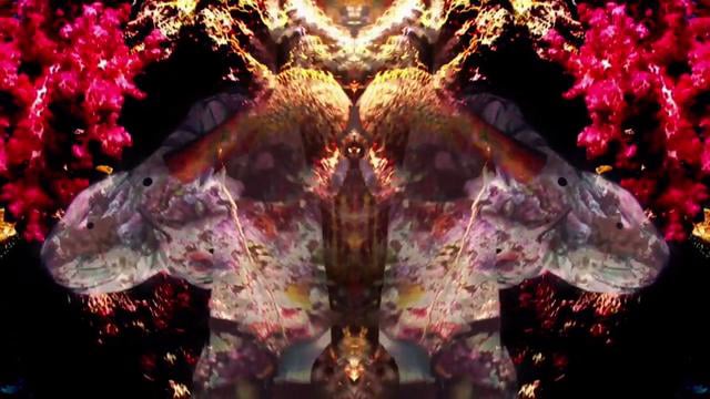 Box Codax "Seven Silvers" on Vimeo