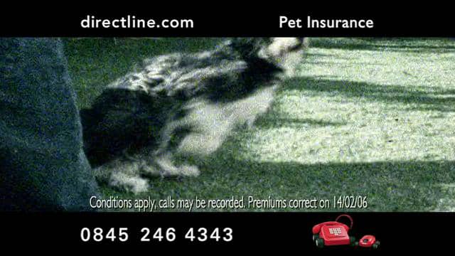 Direct Line "Pet Insurance" on Vimeo