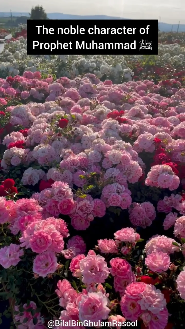 The noble character of Prophet Muhammad ﷺ on Vimeo