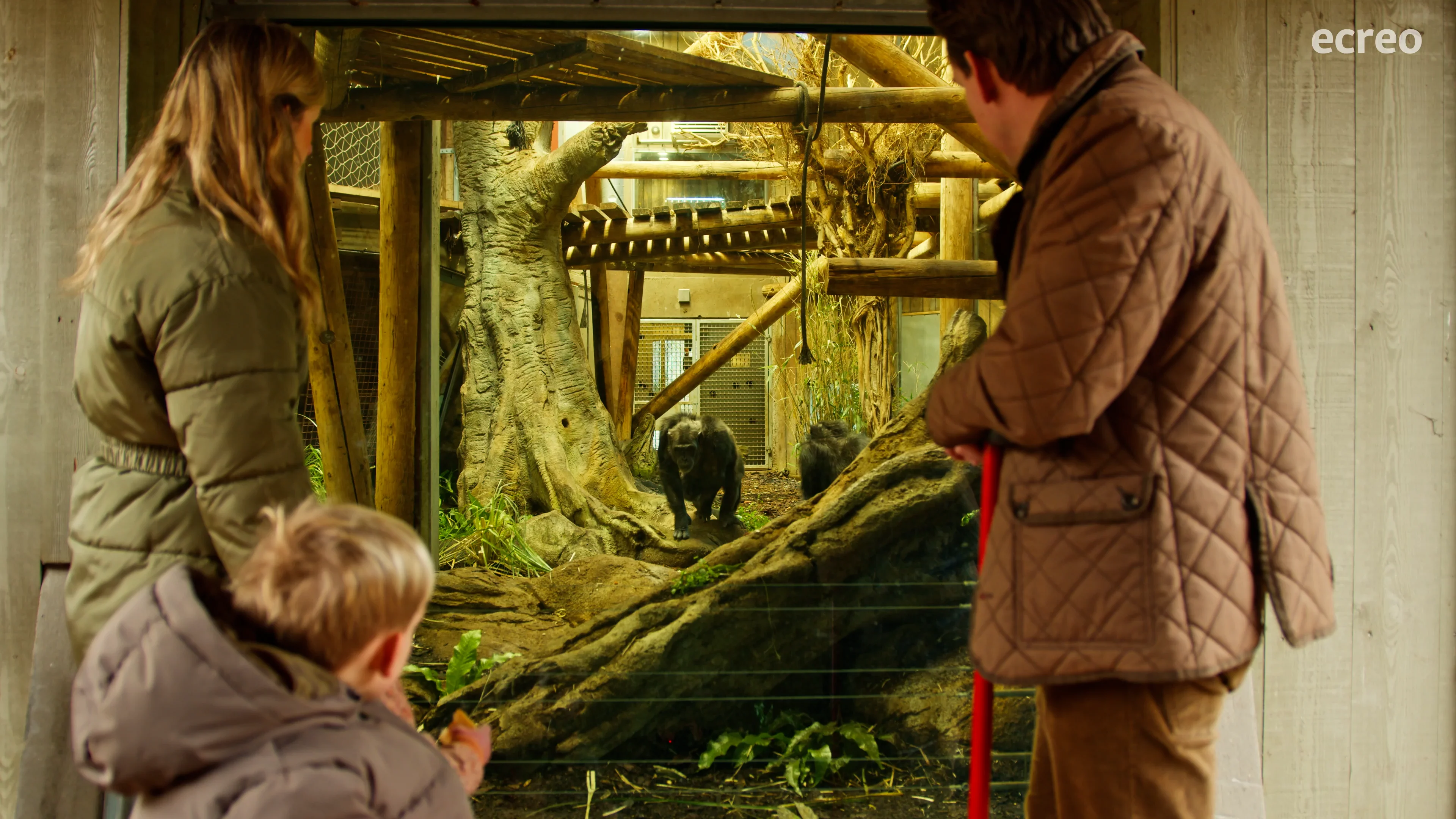 ECREO - Casevideo - Odense ZOO on Vimeo