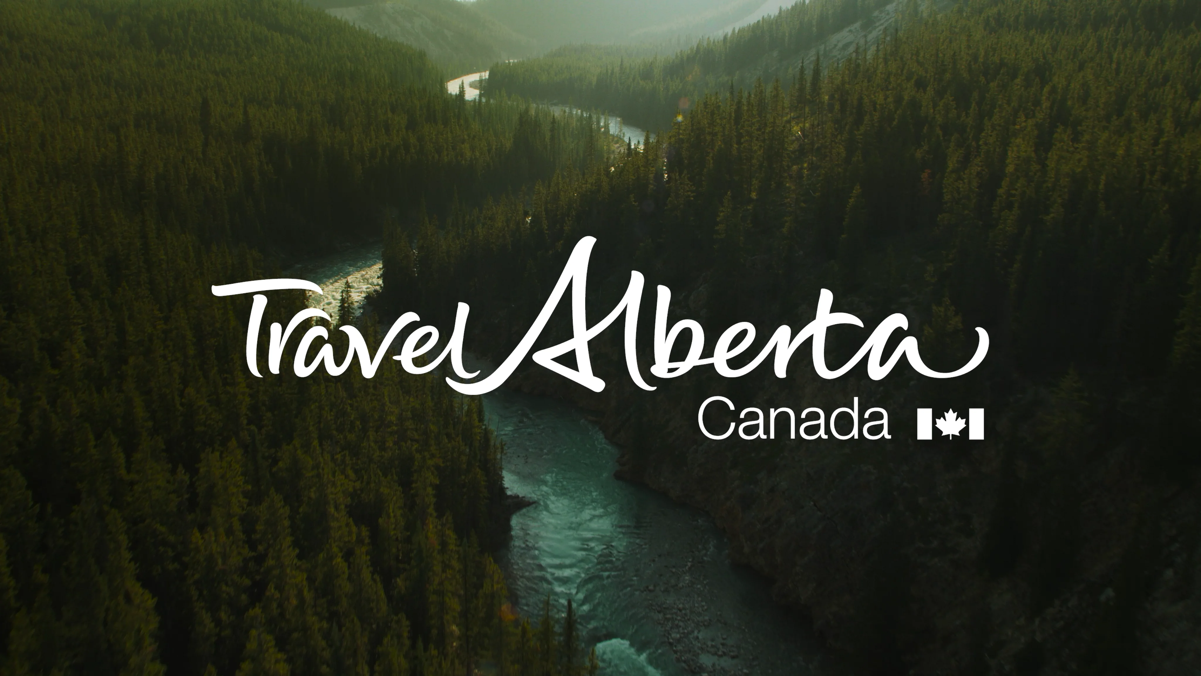 The Bootstrap Plan on Vimeo