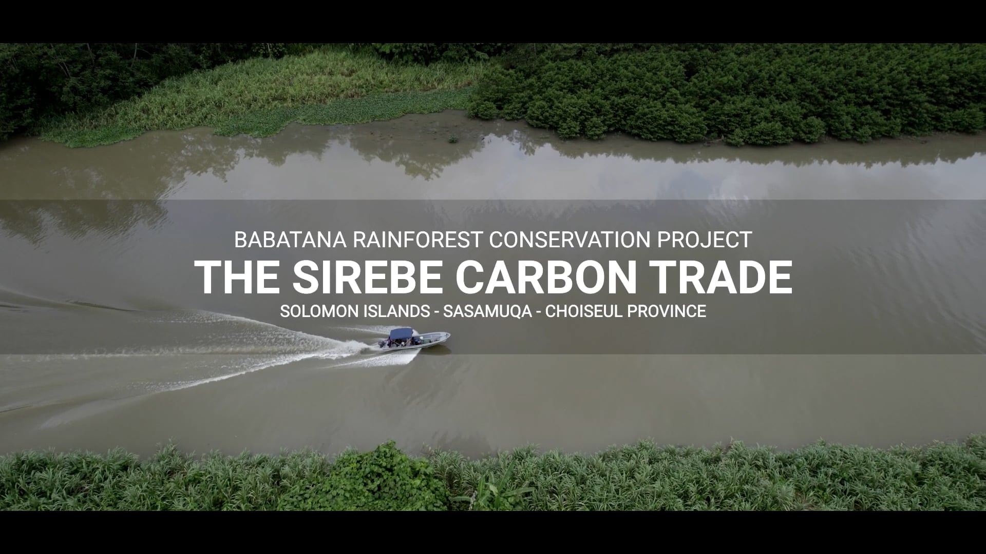 Sirebe Carbon: Babatana Rainforest Conservation Project on Vimeo