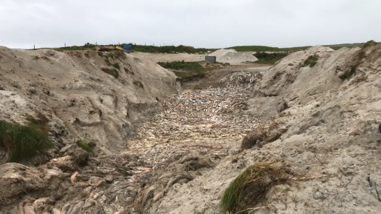 Whiteshore Cockles illegal dump in North Uist on Vimeo