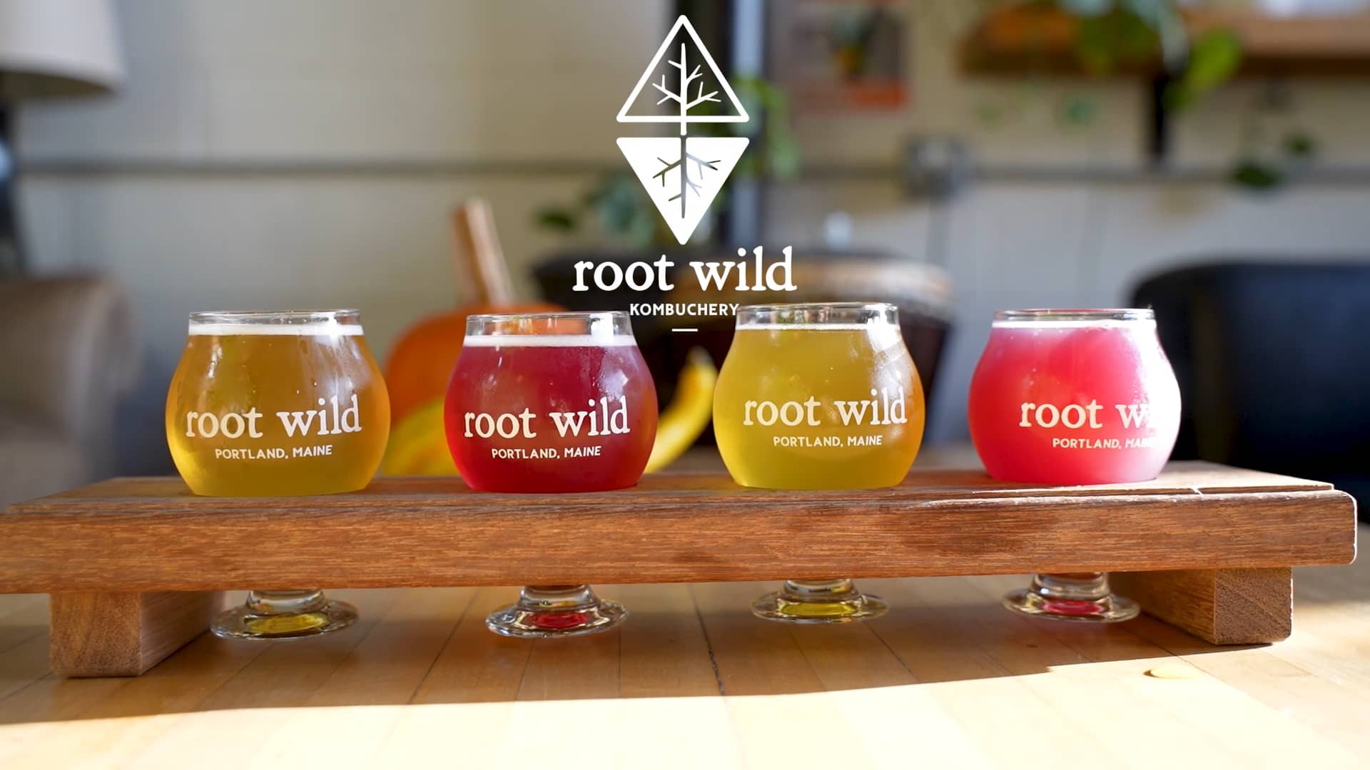 Root Wild on Vimeo