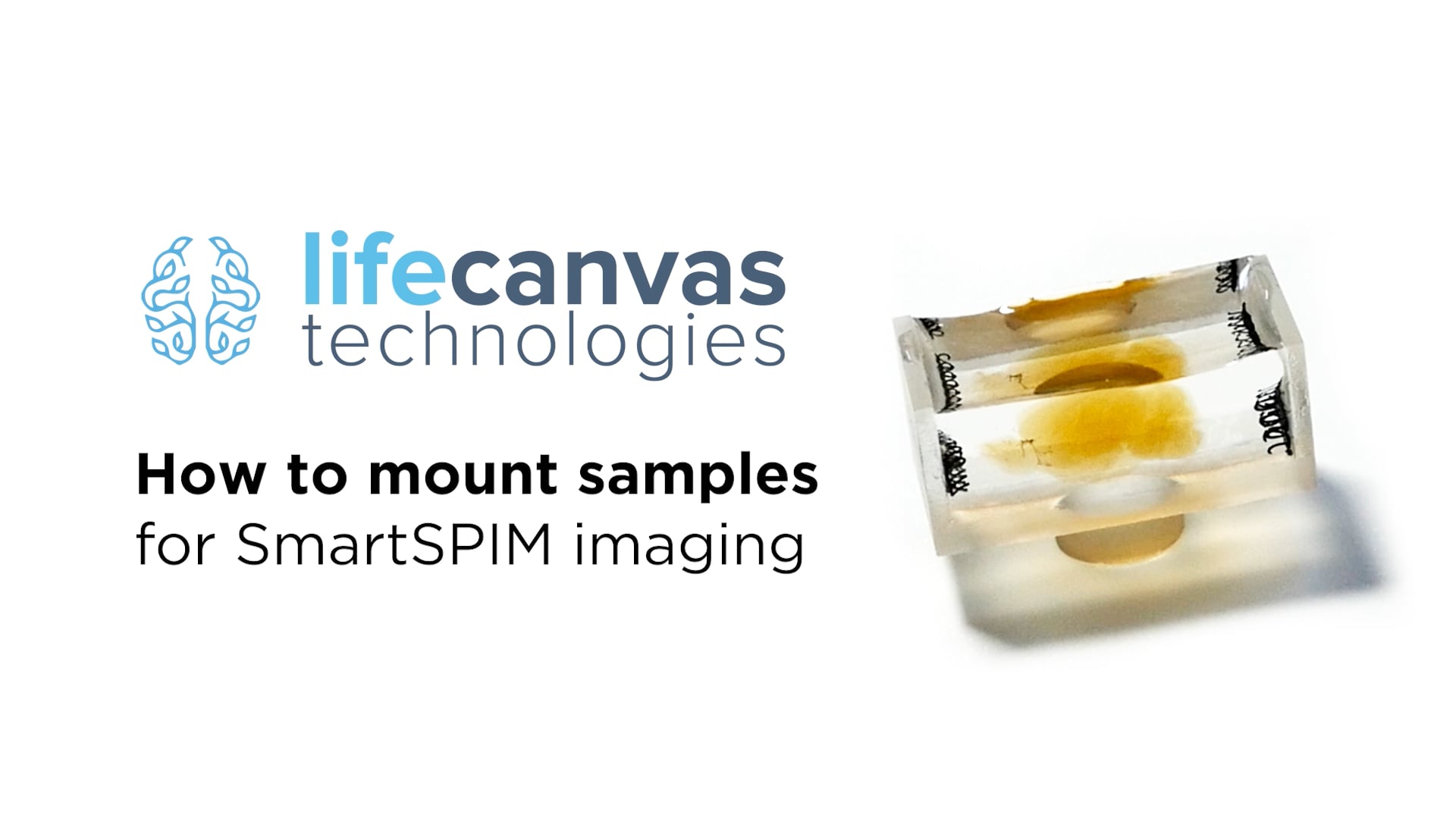 Mounting Samples for SmartSPIM Imaging