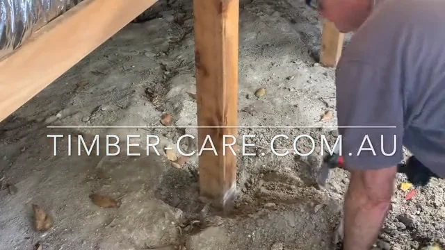 Treating timber posts to prevent decay and insect attack