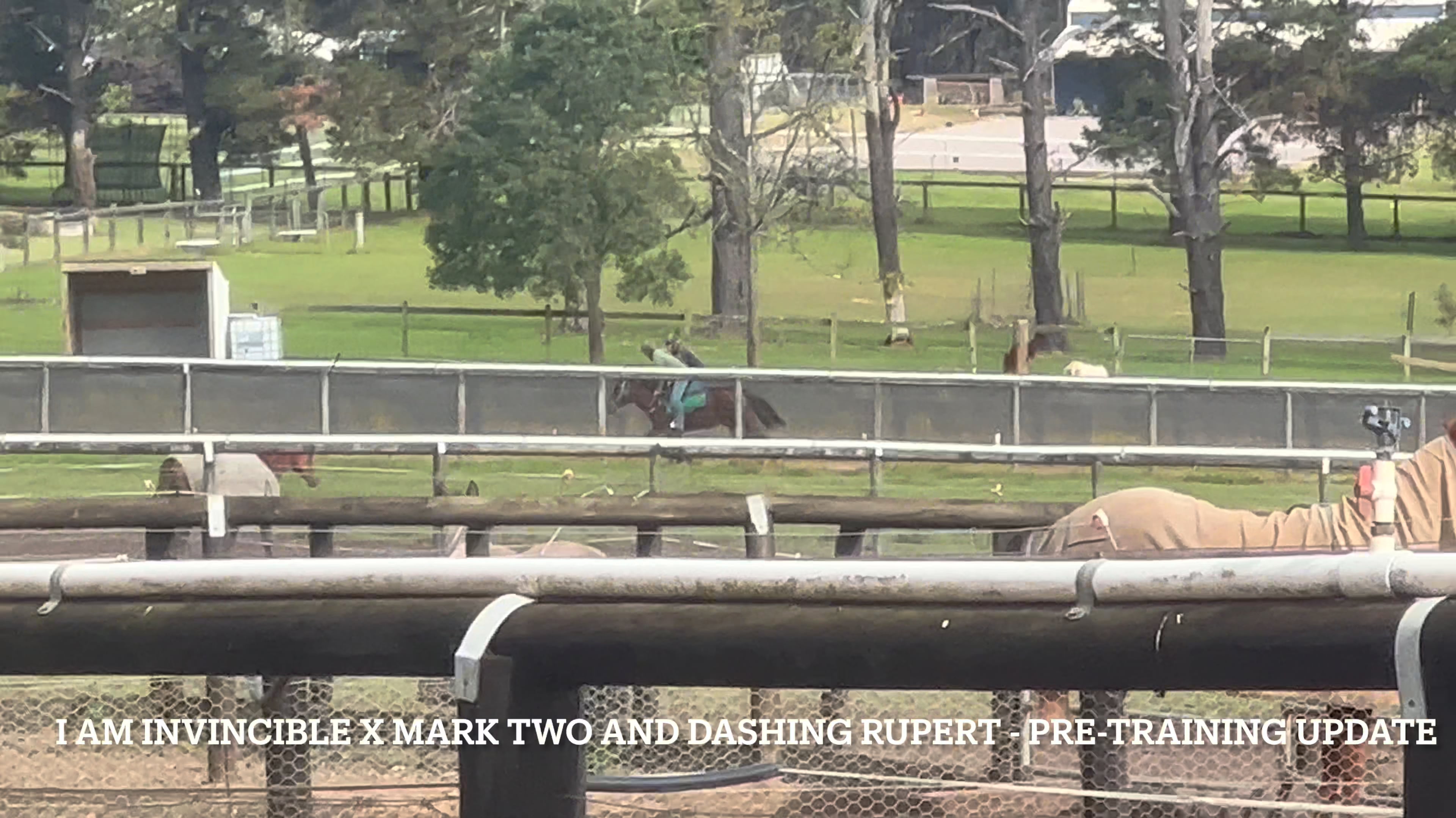 I AM INVINCIBLE X MARK TWO AND DASHING RUPERT - PRE-TRAINING UPDATE on ...