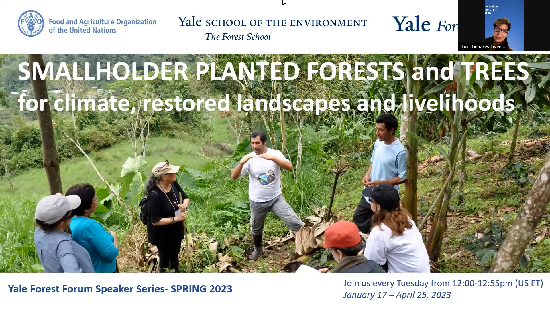NGO Tree Planting on Vimeo