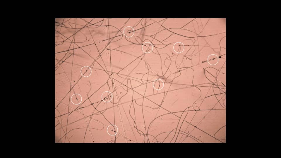 CULTZYME DEMO FOODTECH CHALLENGERS on Vimeo