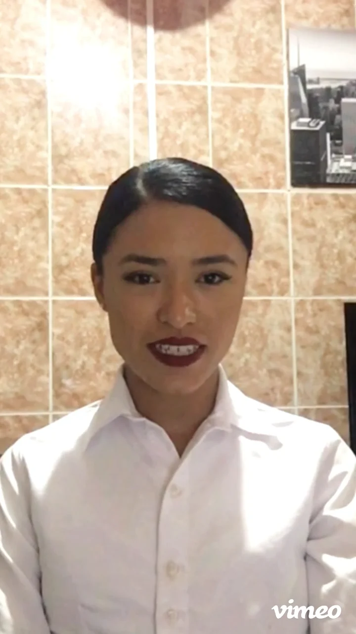 Video introduction on Vimeo