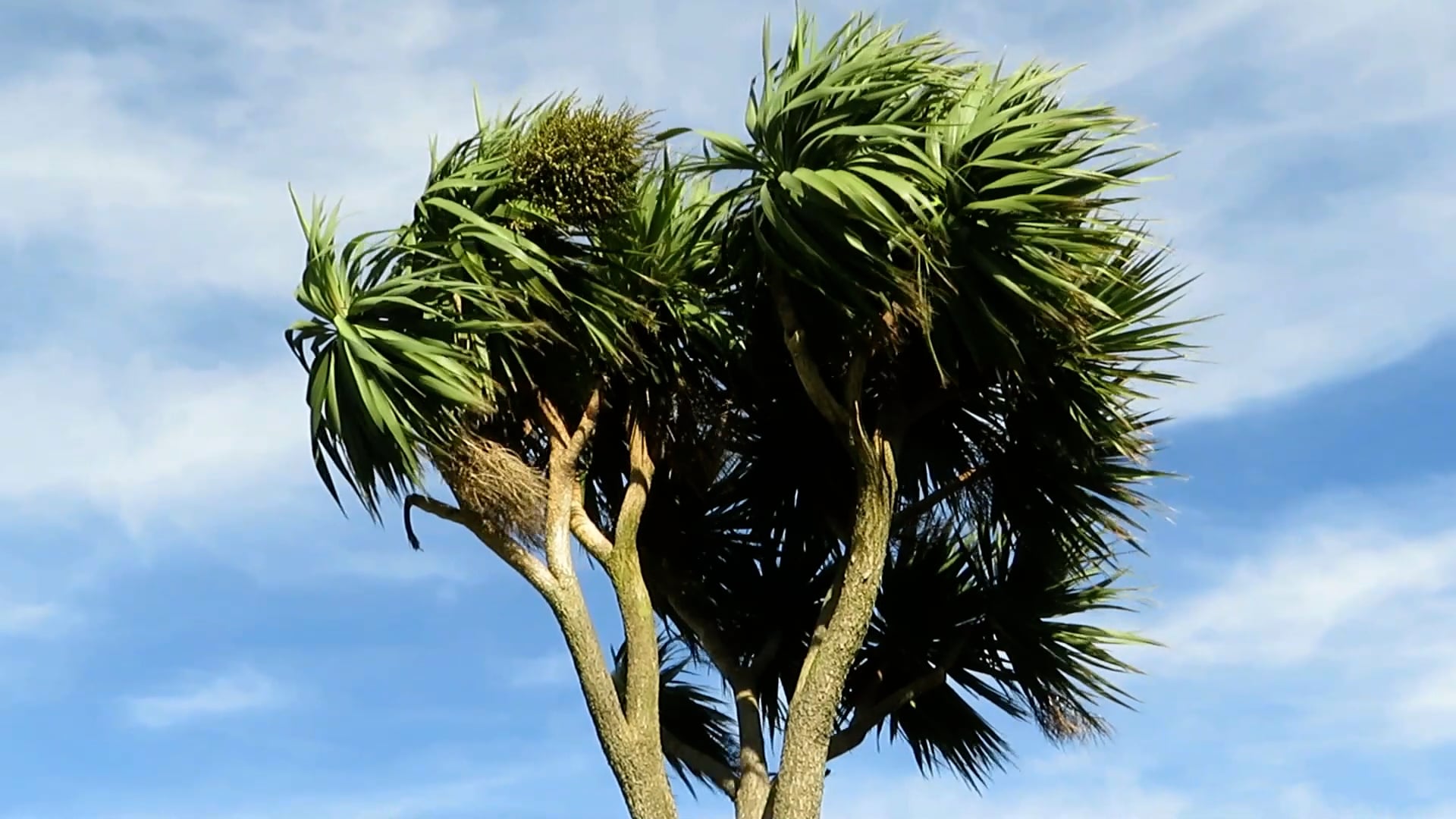 Tomahawk Lagoon 16th April 2023 on Vimeo