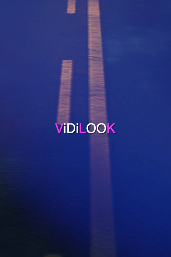 Three_ways_to_play_ViDiLOOK_Watching_videos,_investment_and_promotion ...