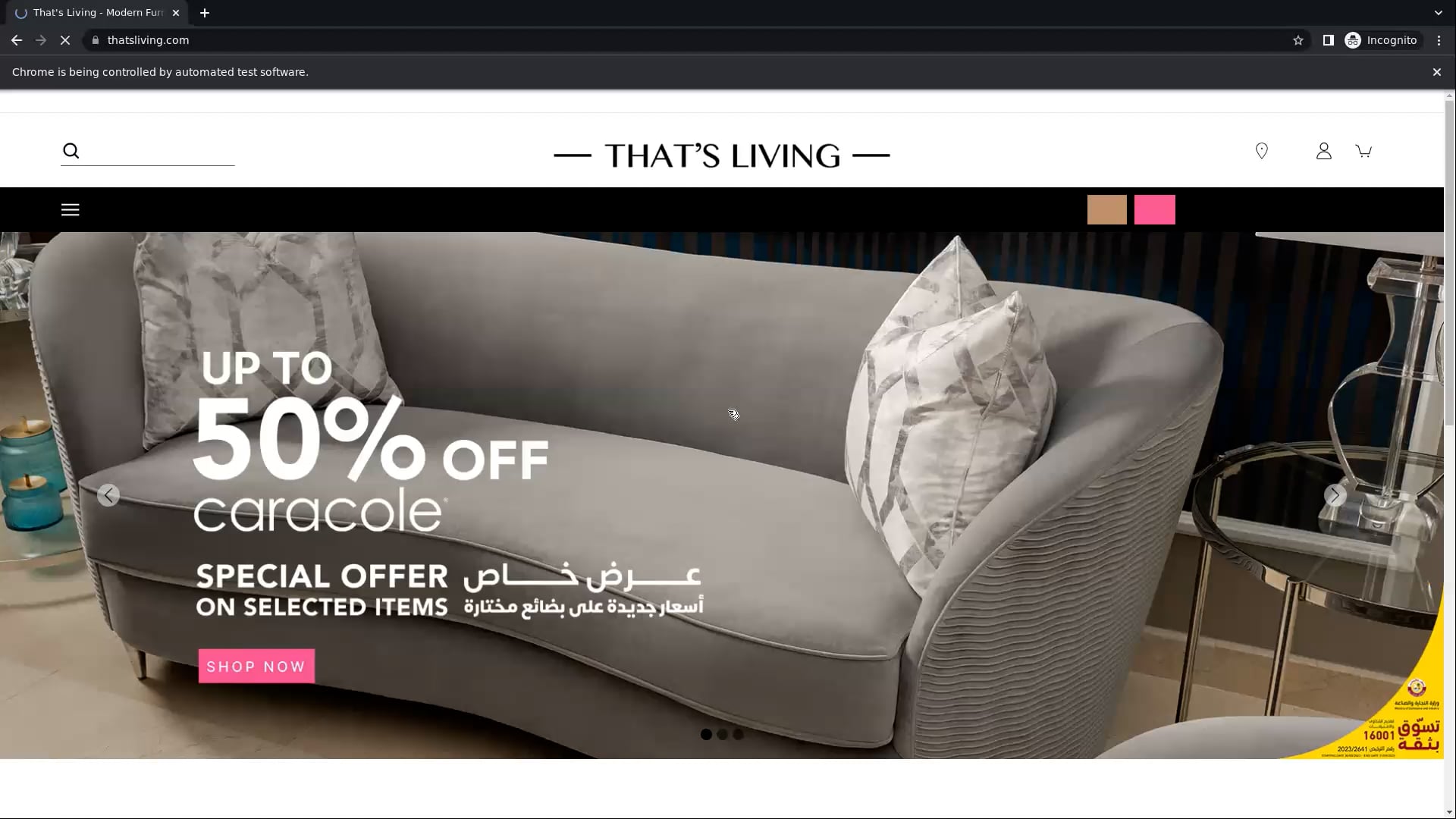 That's Living Home Pages on Vimeo